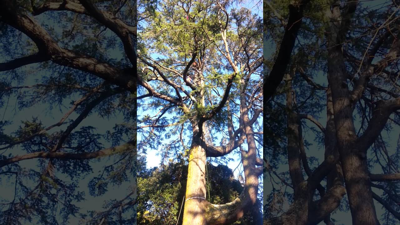 Mark Chisholm workclimb NZ - YouTube