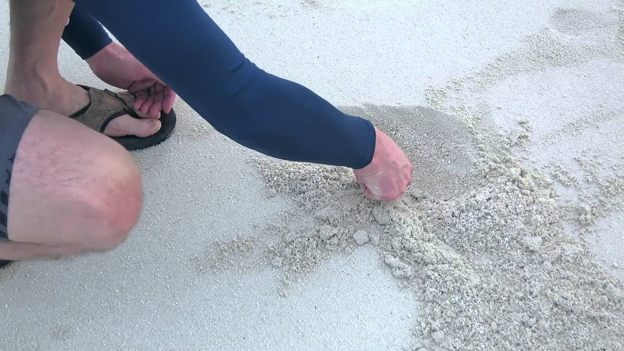 Digging Up Sand Crab in the Maldives 2013 - YouTube