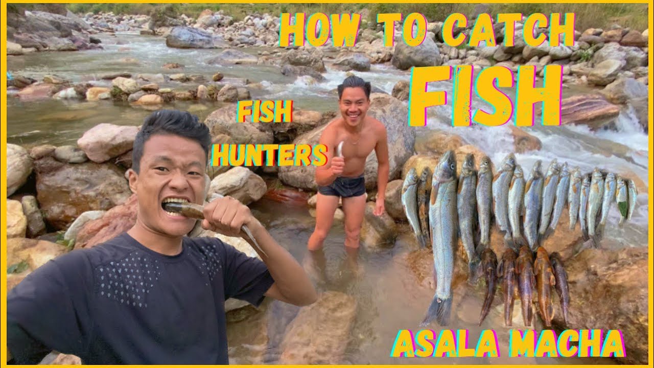 Small Duwali Fishing In Nisikhola| Hunting Himalayan Trout Fish| How we ...