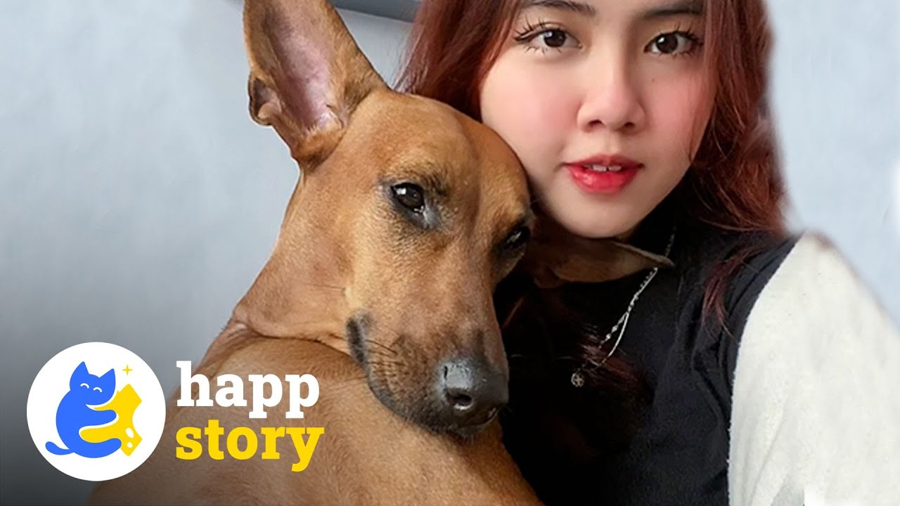 This Dog Shows Love To Her Mom In A Special Way - YouTube