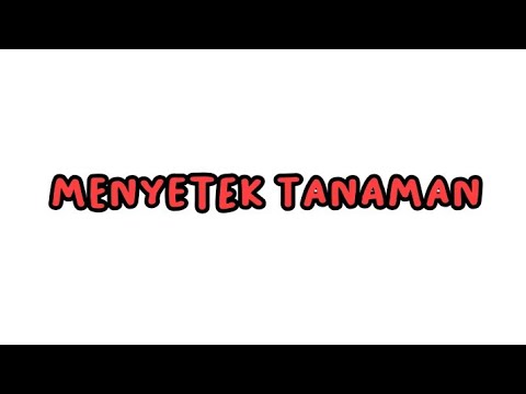 Praktek Stek IPA | #MIN4 #UjianPraktik #Mapel - YouTube