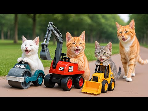 Mama Cat Trims Fur on the Farm and Makes Tiger Hat For Kittens At Home🐾🎩🐯