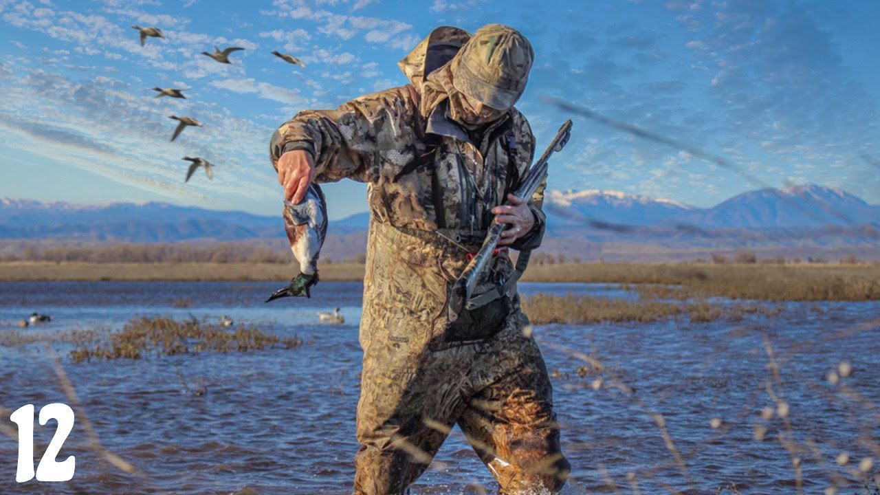 STRONG NORTH WINDS Brought The Birds! (LIMITED OUT) | CA Public Land ...
