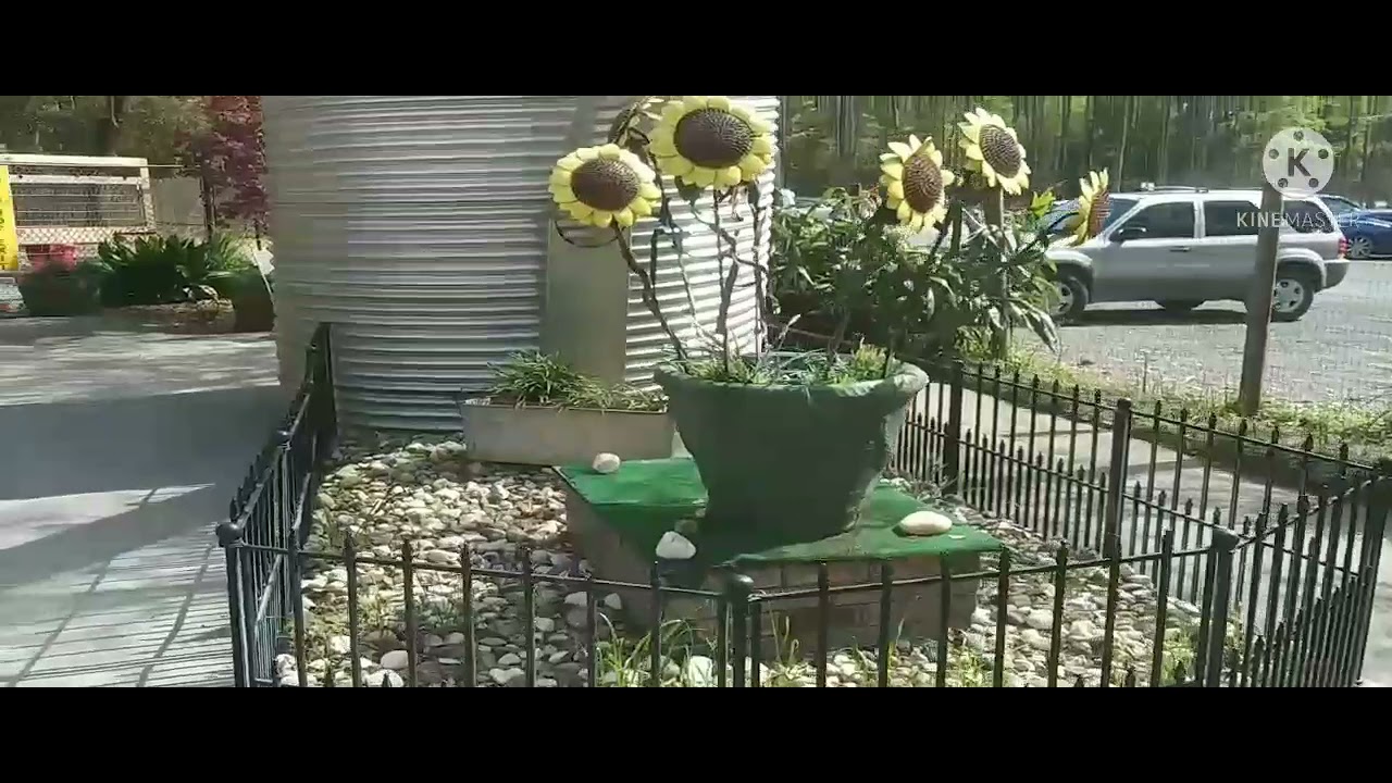 Trip to BEE CITY in Cottageville,SC - YouTube