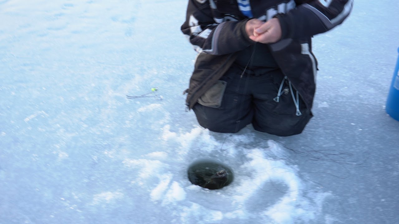 Giant Fish Almost Bites Finger Off, MUST WATCH!!!! - YouTube