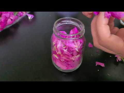 Gül Yağı Nasıl Yapılır| Evde Gül Yağı Yapmak Çok Kolay| Gül Yağının Faydaları