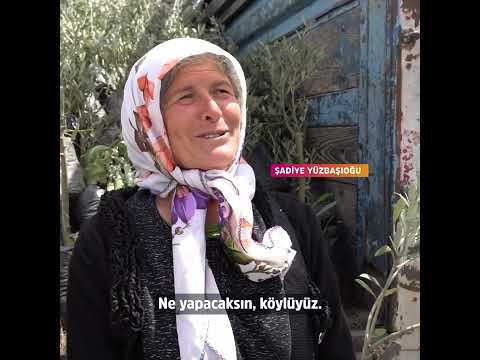 Gülnar'da, 151 üreticiye toplam 3 bin 20 adet zeytin fidan dağıtımı gerçekleştirdik