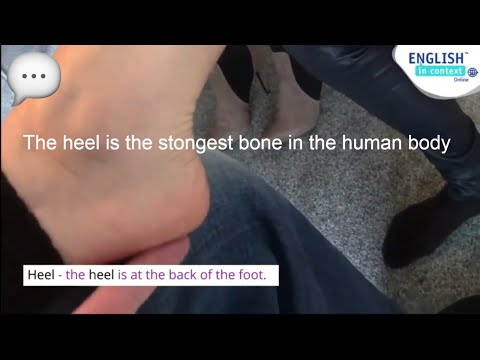The heel - an important part of the foot