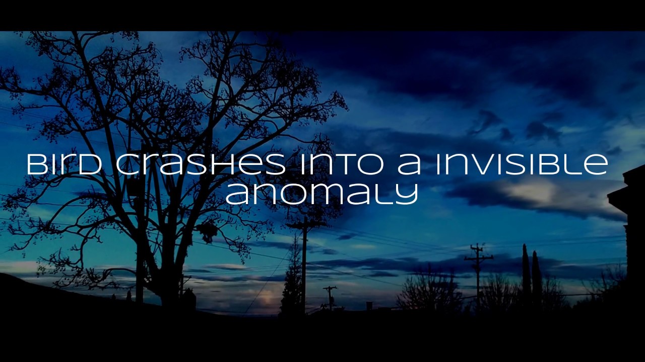 Strange orbs above the sky & bird crashes into a invisible anomaly ...