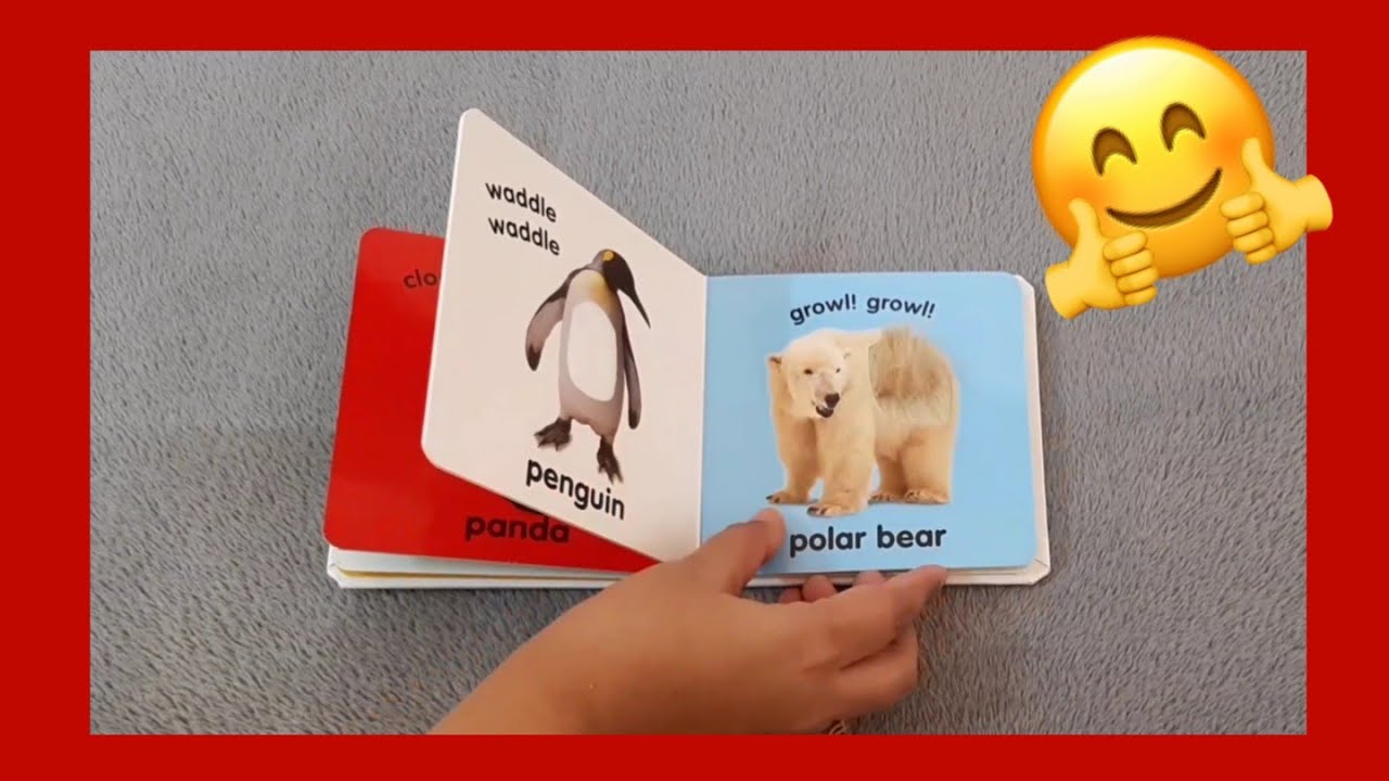 Dk Baby Touch And Feel Wild Animal Book - YouTube