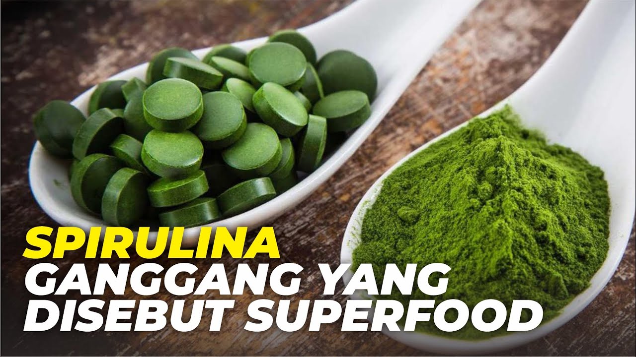 Budidaya Alga Spirulina. Kultur, Perbanyakan, Manfaat, dan Pemasaran ...