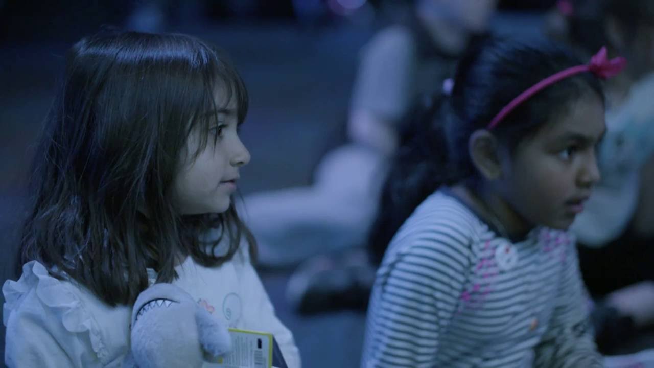 Sleep with the Sharks at Ripley's Aquarium of Canada - YouTube