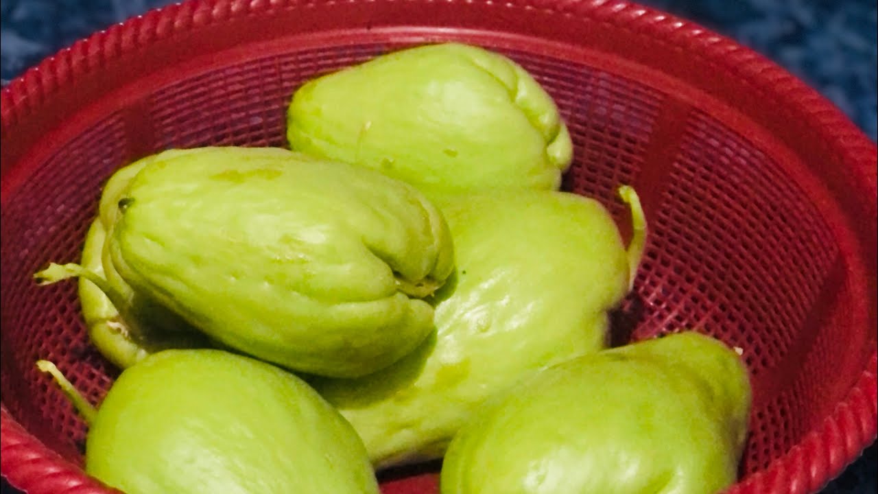 Pickled SAYOTE sa CITY OF PINES - YouTube
