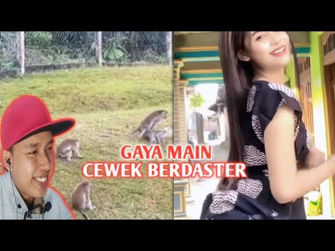 GOYANGAN CEWEK BERDASTER MEMANG BEDA BOSKU 😁 REACTION MEME