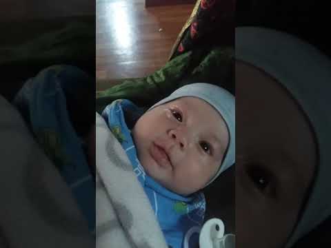 Папа пришёл с работы