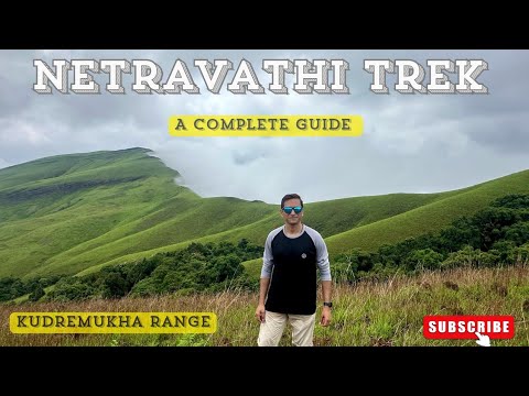 Netravati Trek in Monsoon 2024, Chikkamagalur | Beez Onthe Road - YouTube