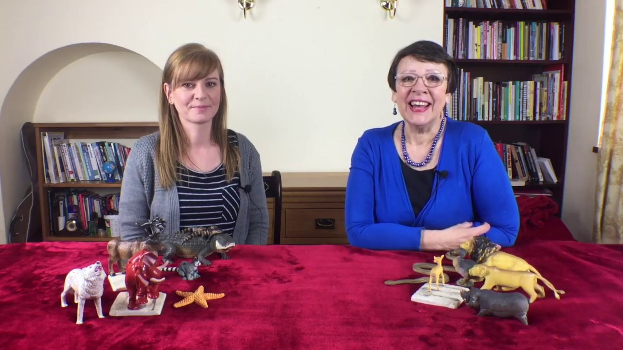 How to work on group dynamics using animals in counselling - with Katy ...