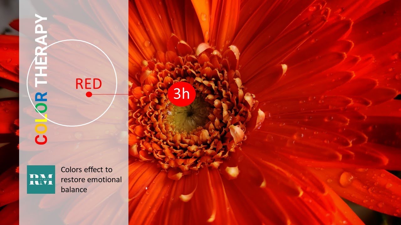 COLOR THERAPY. Red is a warm color that gives vitality to the body ...