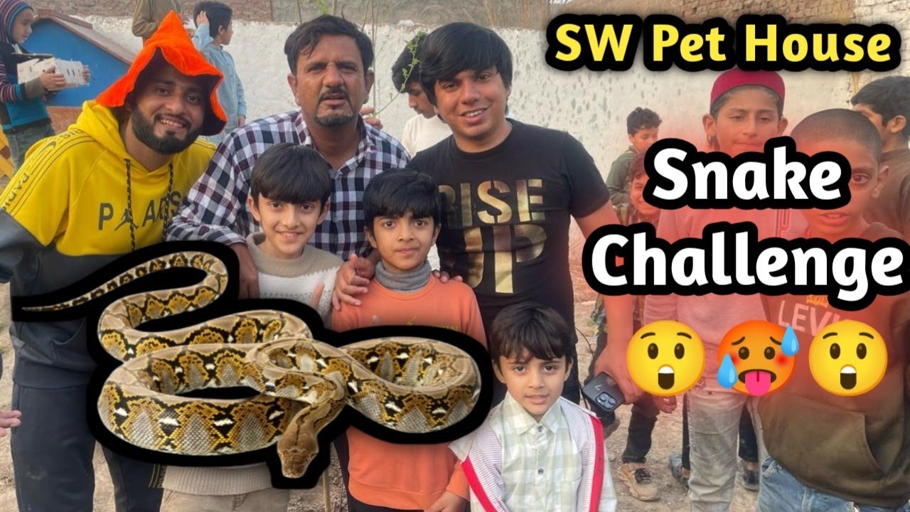 Snake challenge l sw pet house l pethouse complete visit - YouTube