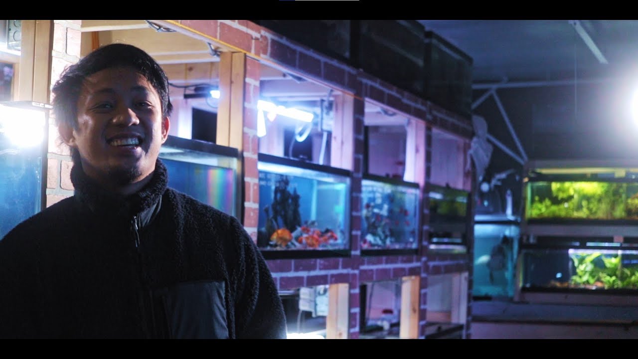 Fish Be With You (Mini Documentary 2022) - YouTube