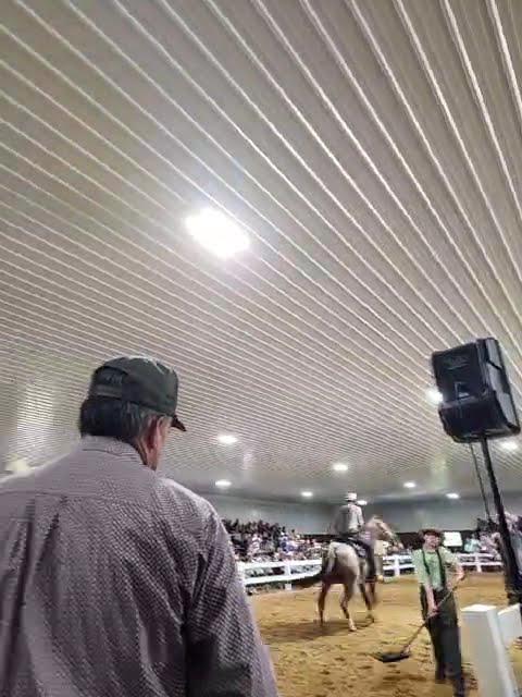 Blazing Amish Horse Auction: Fast-Talking Frenzy! - YouTube