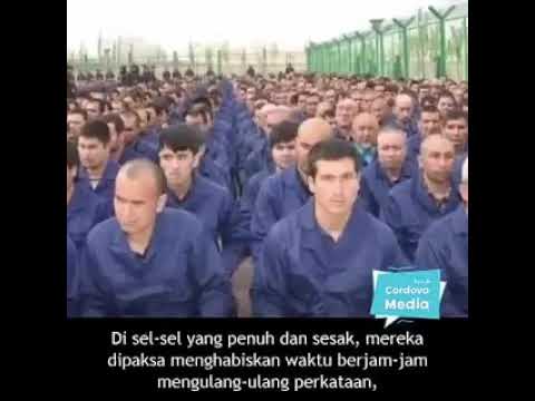 Komunis china ini setia dan di paksa tunduk