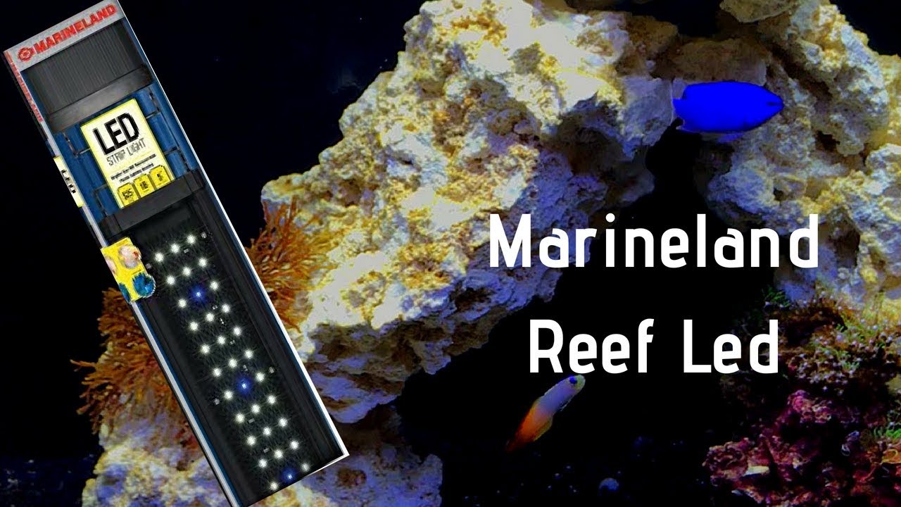 Marineland Reef Led Light - YouTube