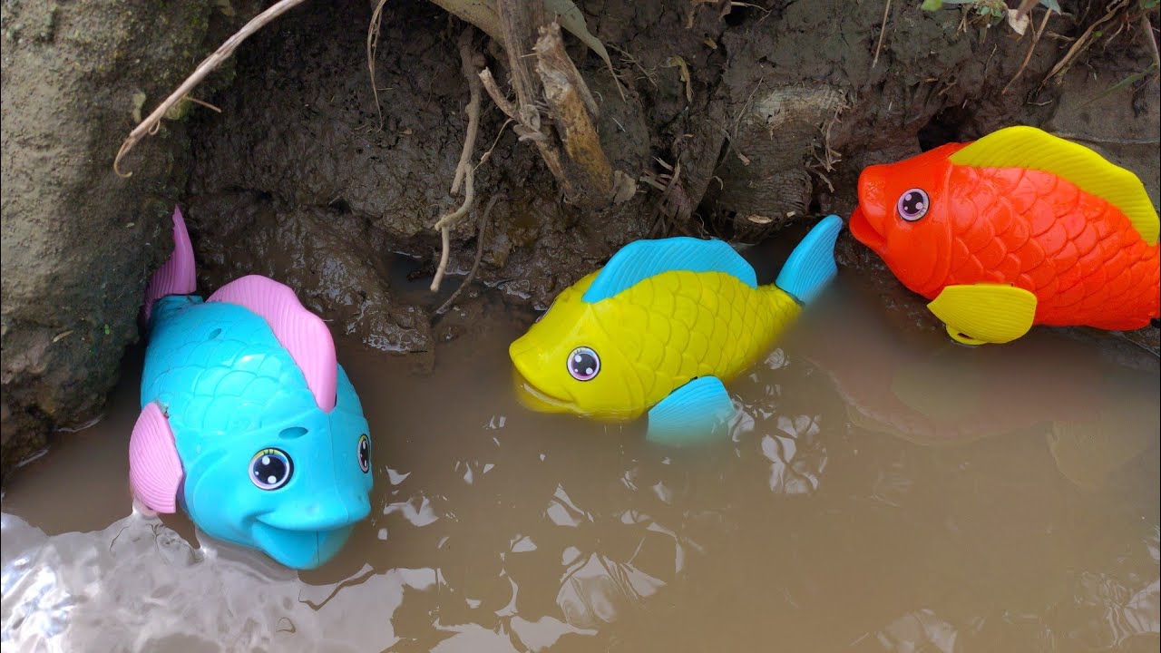 Find sea animal toys in river, Shark, Starfish, Sea fish, Stingray ...
