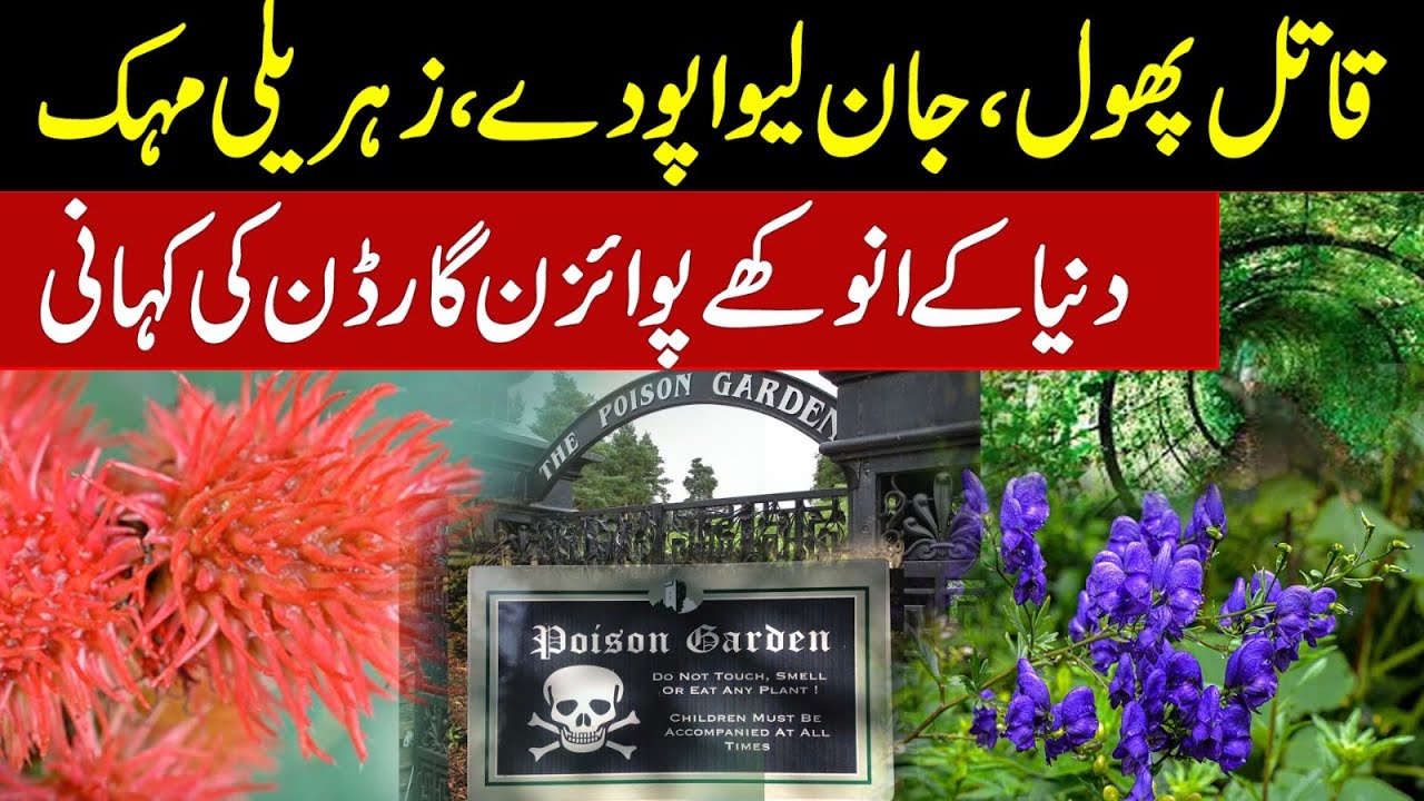 POISON GARDEN | Shocking Story of Deadliest Flowers and Trees - YouTube