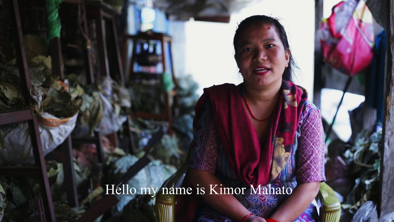 Tapari Leaf Plates - Kimor interview - YouTube