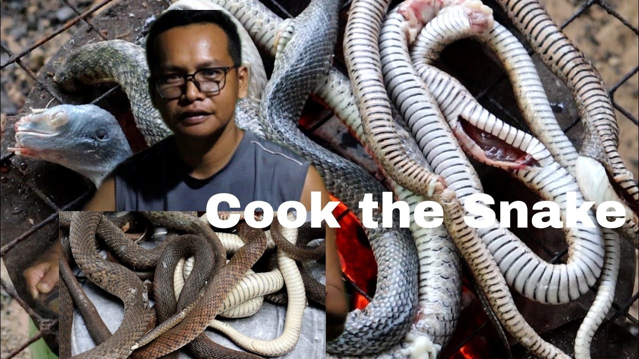 Cook snakes and eat snake in the village - YouTube