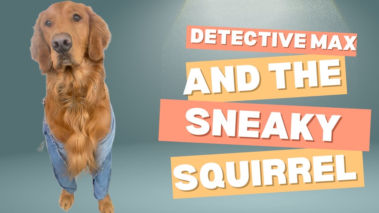 Detective Max 🐕 and the Sneaky Squirrel 🐿️ - YouTube