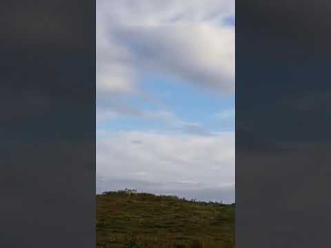 It’s A Beautiful Day