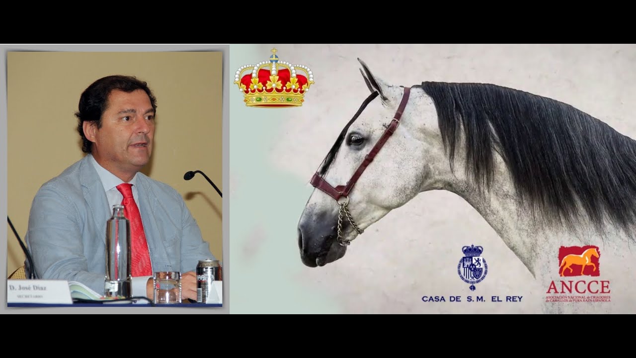 El Rey Felipe Sexto convierte a la ANCCE es Real ANCCE. - YouTube