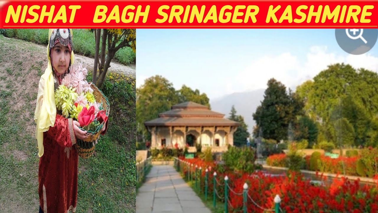 Nishat Bagh: A Beautiful Mughal Garden in Srinagar kashmir || Tourists ...