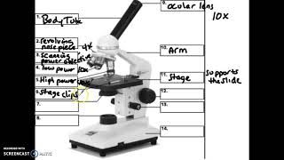 Simple Compound Microscope Parts And Functions