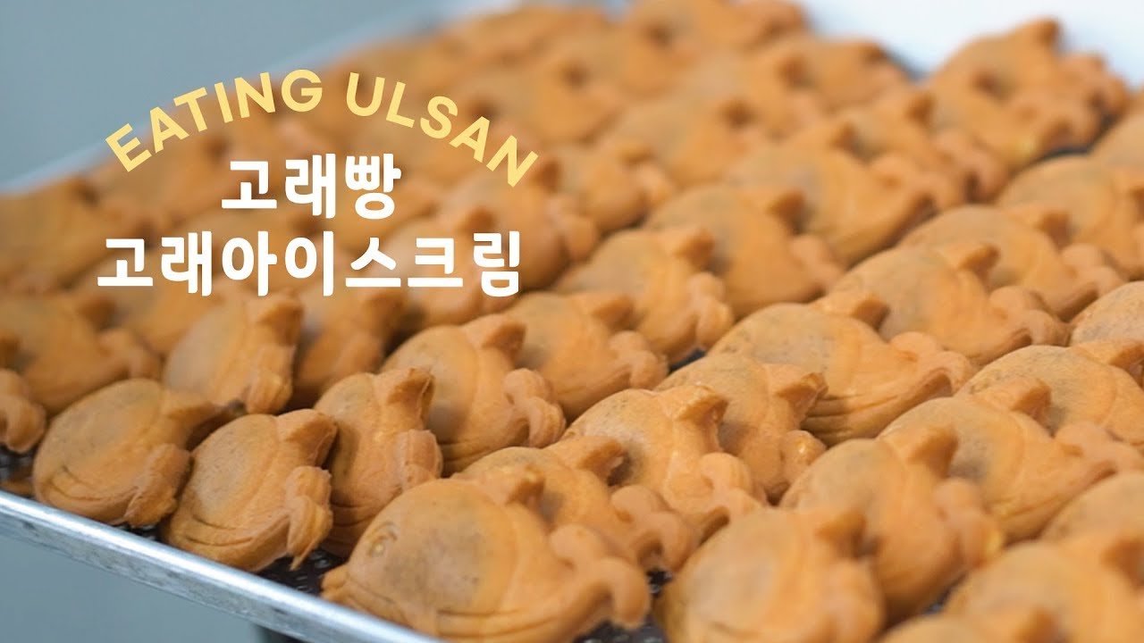 고래빵 베이킹 영상 / 울산 장생포 맛집 / [잇힝울산] Whale Bread & Icecream Baking vlog ㅣ ...