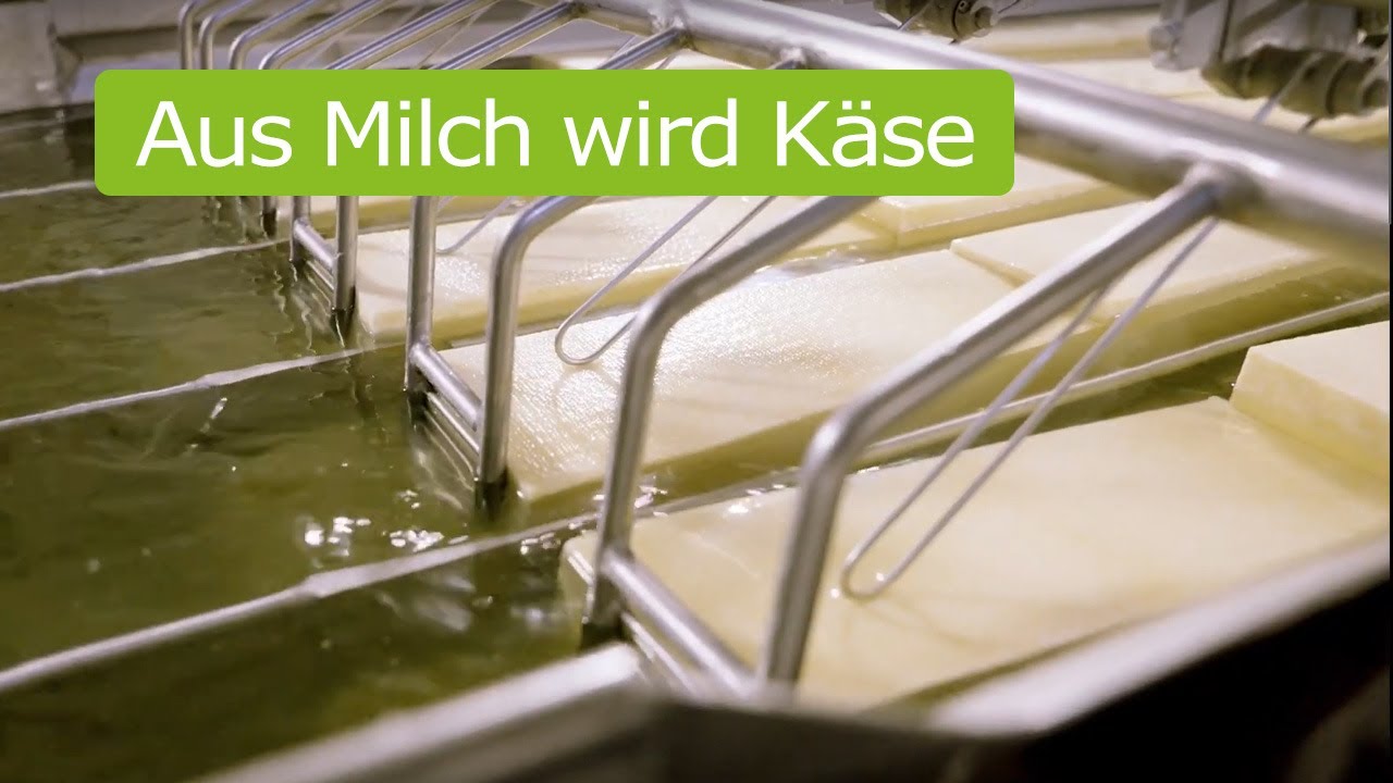 Wie Wird Harzer Kãse Hergestellt