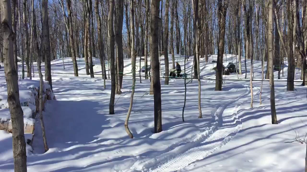 Ferme érablière Richard Boily - YouTube