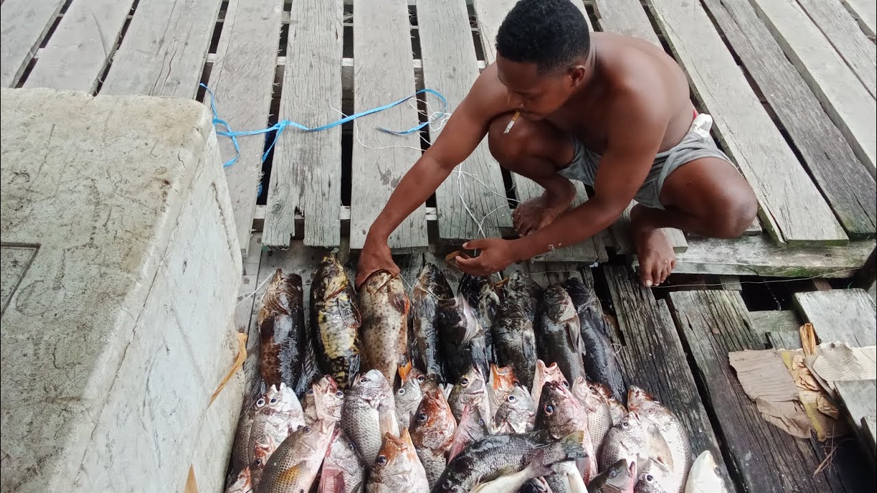 IKAN KERAPU - MUBARA DAN KAKAP MERAH MJ MUARA YOKE MAMBERAMO 🐊🐟🐟🐟 - YouTube