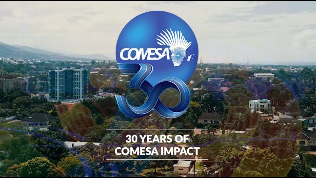 30 Years of COMESA Impact - YouTube