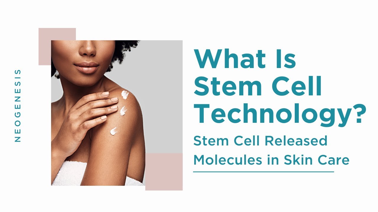 What is Stem Cell Technology? How is it used in Skin Care? - YouTube