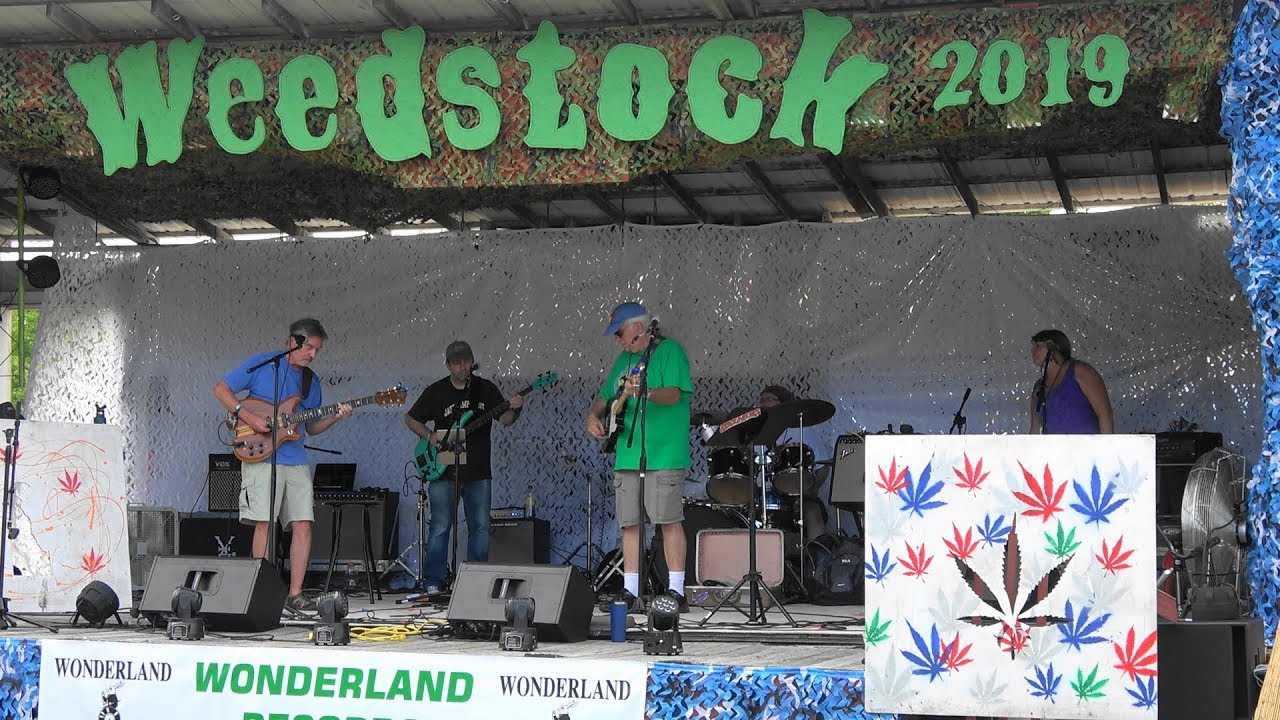Zito 420 Band - Far Away From Here - Weedstock 2019 - YouTube