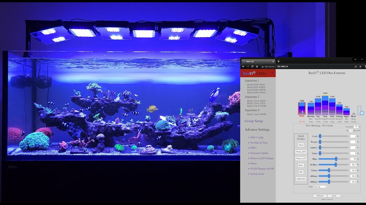 ReeFi UI overview v4.10 - YouTube