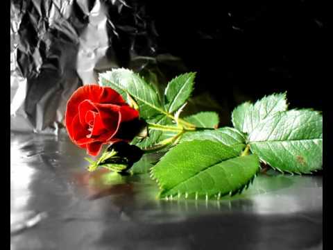 müzikli slayt-230507-24042010.flv