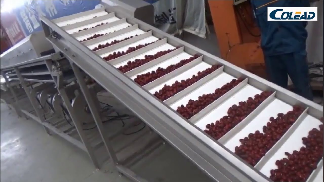 Palm dates processing line come from Colead - YouTube