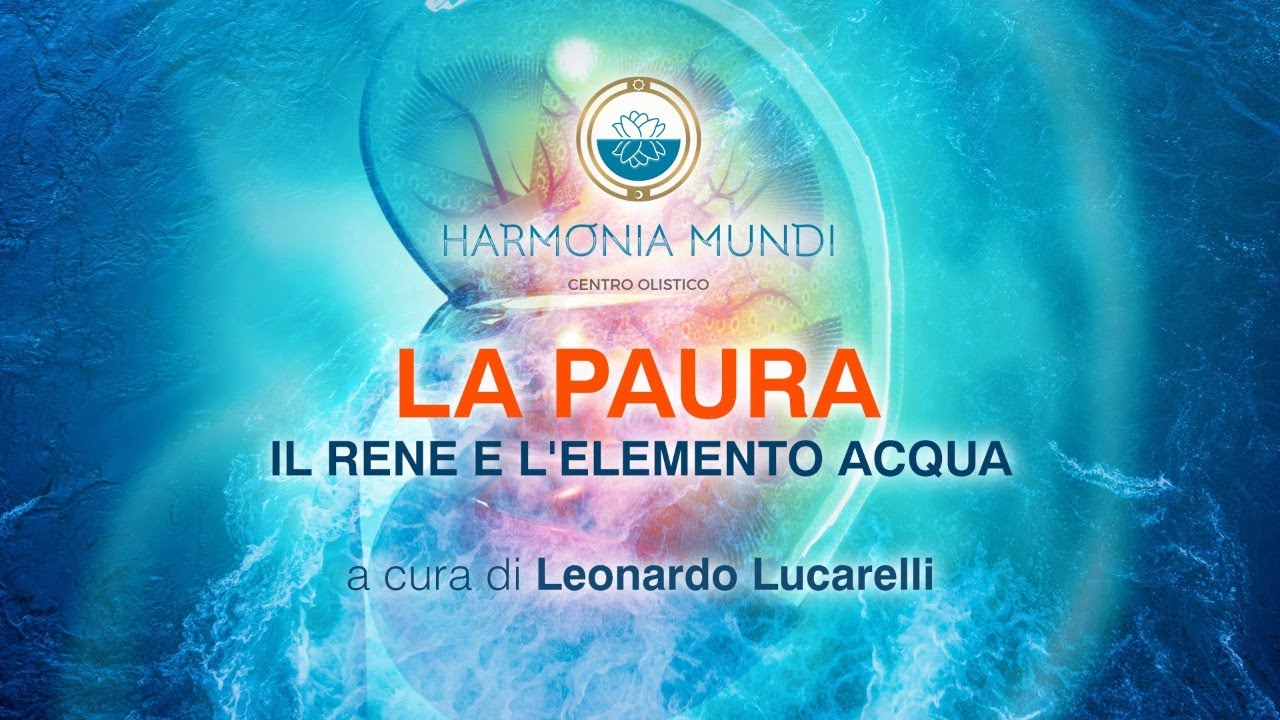 La Paura - Il Rene e l'Elemento Acqua - Leonardo Lucarelli - YouTube