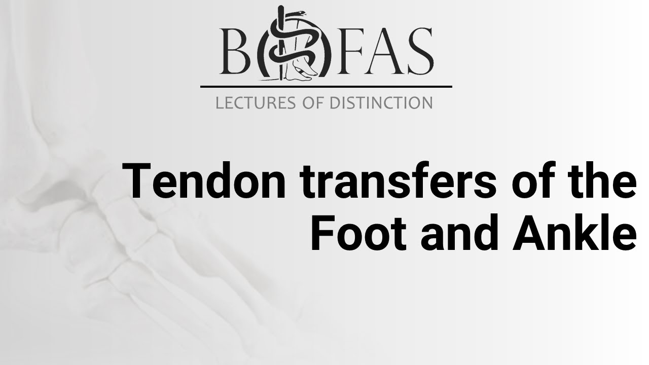 Tendon Transfers of the Foot & Ankle - BOFAS Lectures of Distinction ...