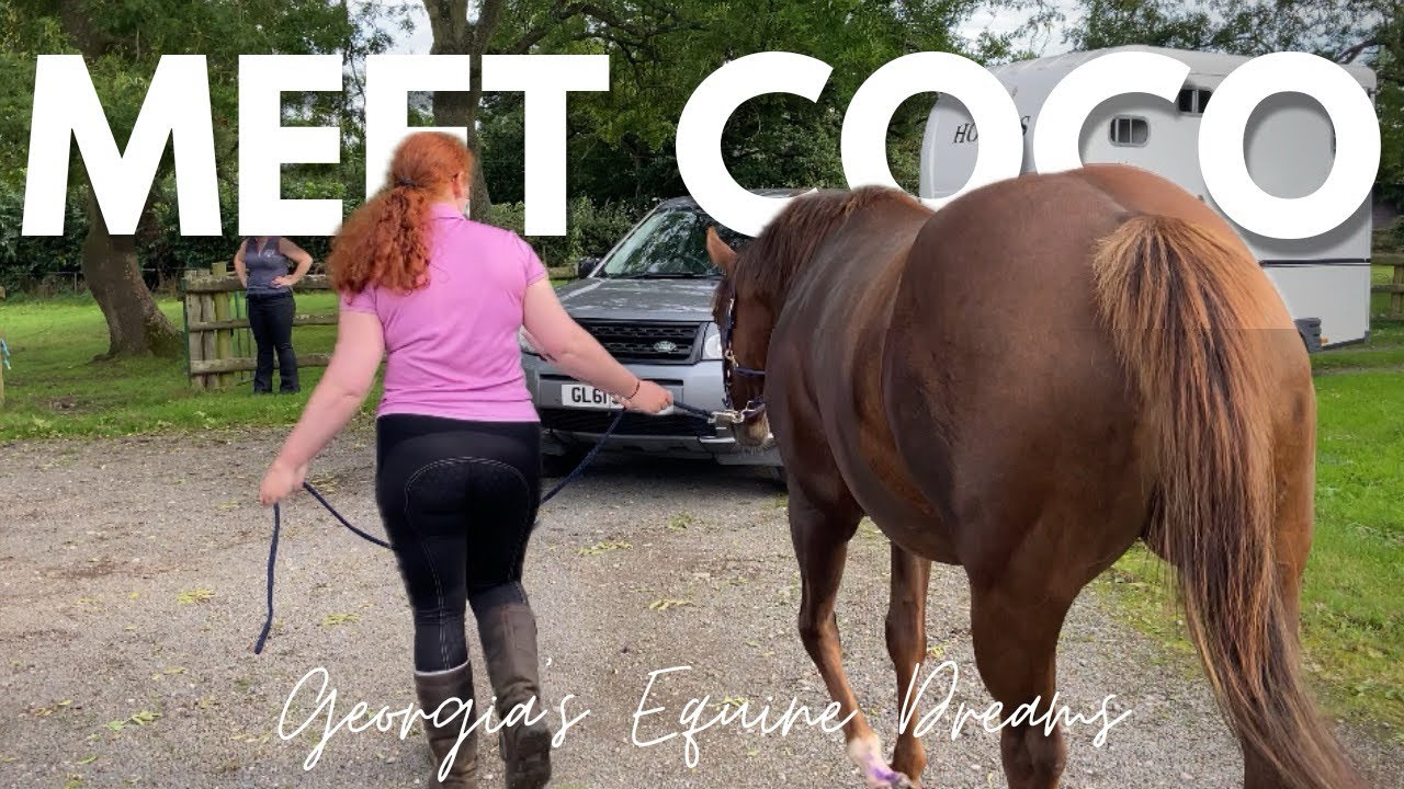 MEET COCO! | Georgia’s Equine Dreams - YouTube