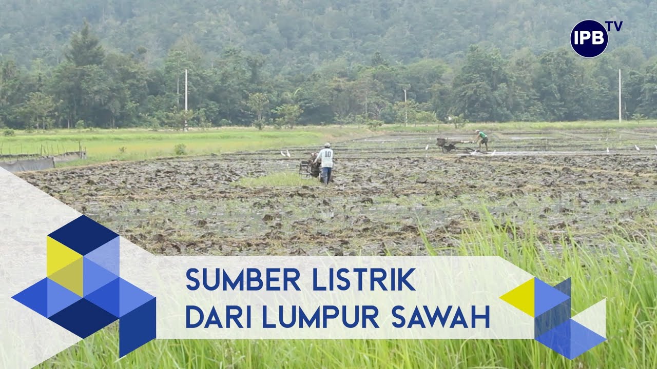 IPB Talk: Ekonomi Sirkular di Sawah Kita - YouTube
